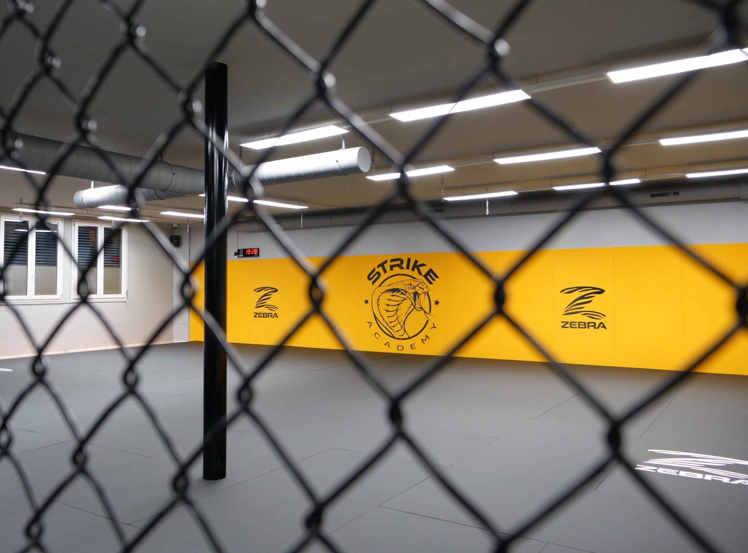 Mats & Wall Pads – Zebra Athletics Australia